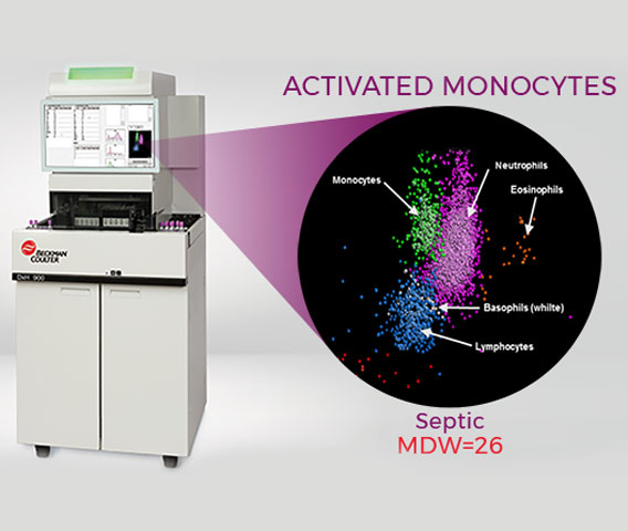 DxH 900 Hematology Analyzer